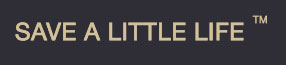 Save a Little Life